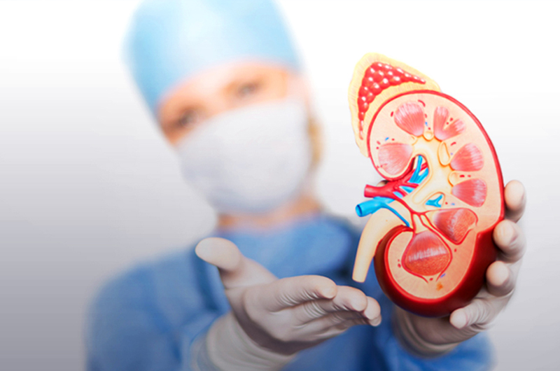 India Kidney Hospital – Best Kidney Hospital in Jalandhar